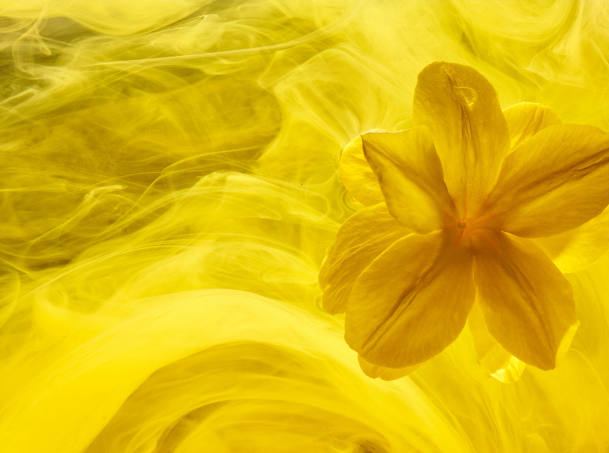 Product - Cosmax Indonesia